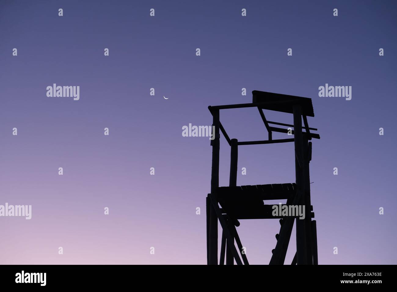 A blue and violet sky during a summer dawn with the moon in sight and ...