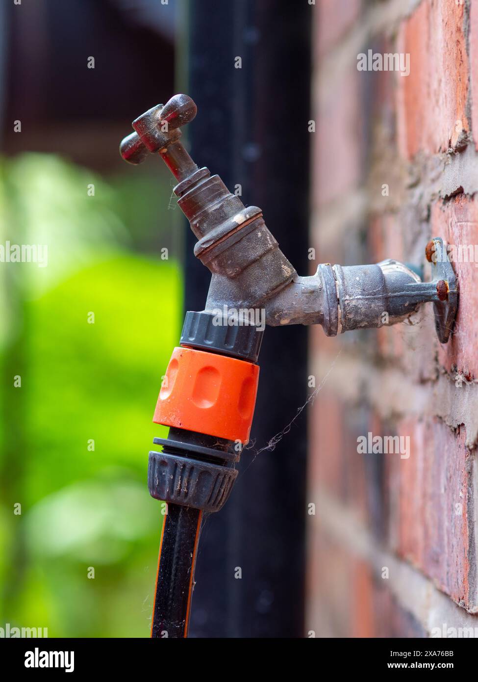 Outdoor faucet tap with connected hose and spider web on a brick wall ...