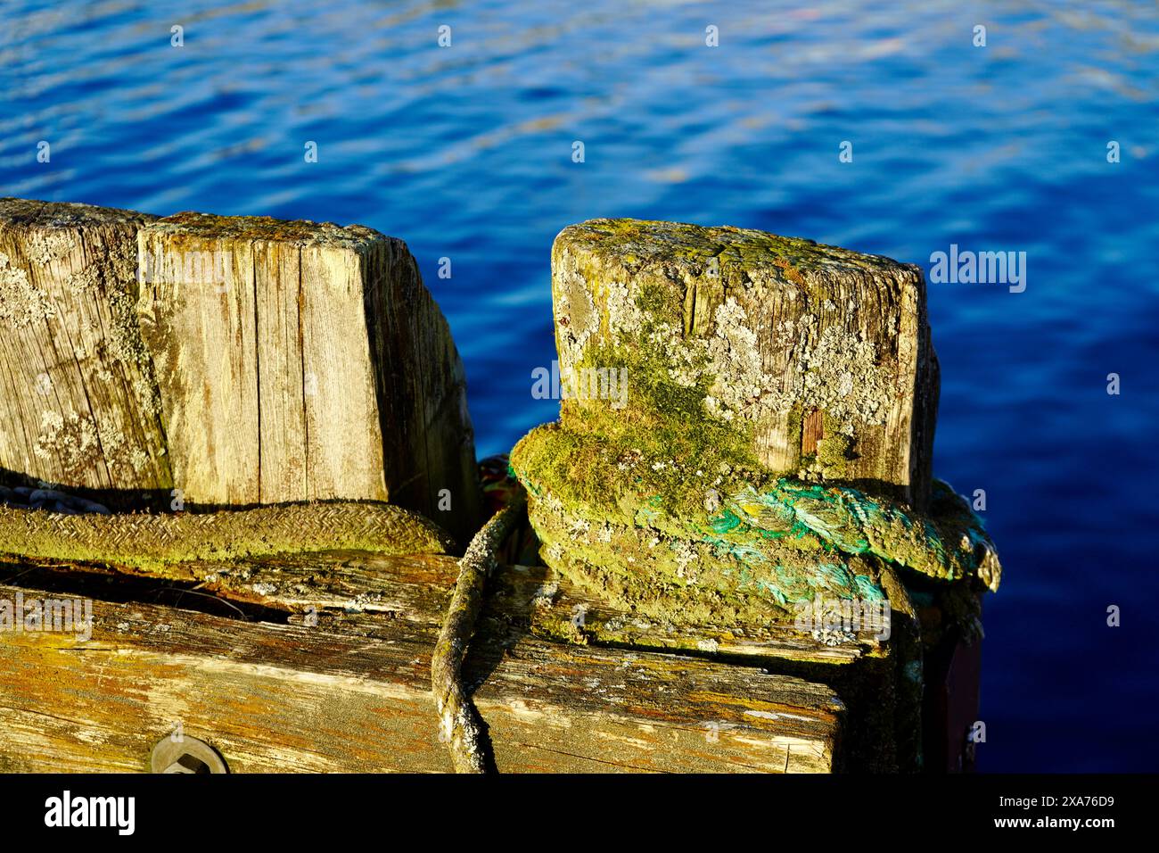 A moss grown rope tied around the structural timber logs of an old quay ...