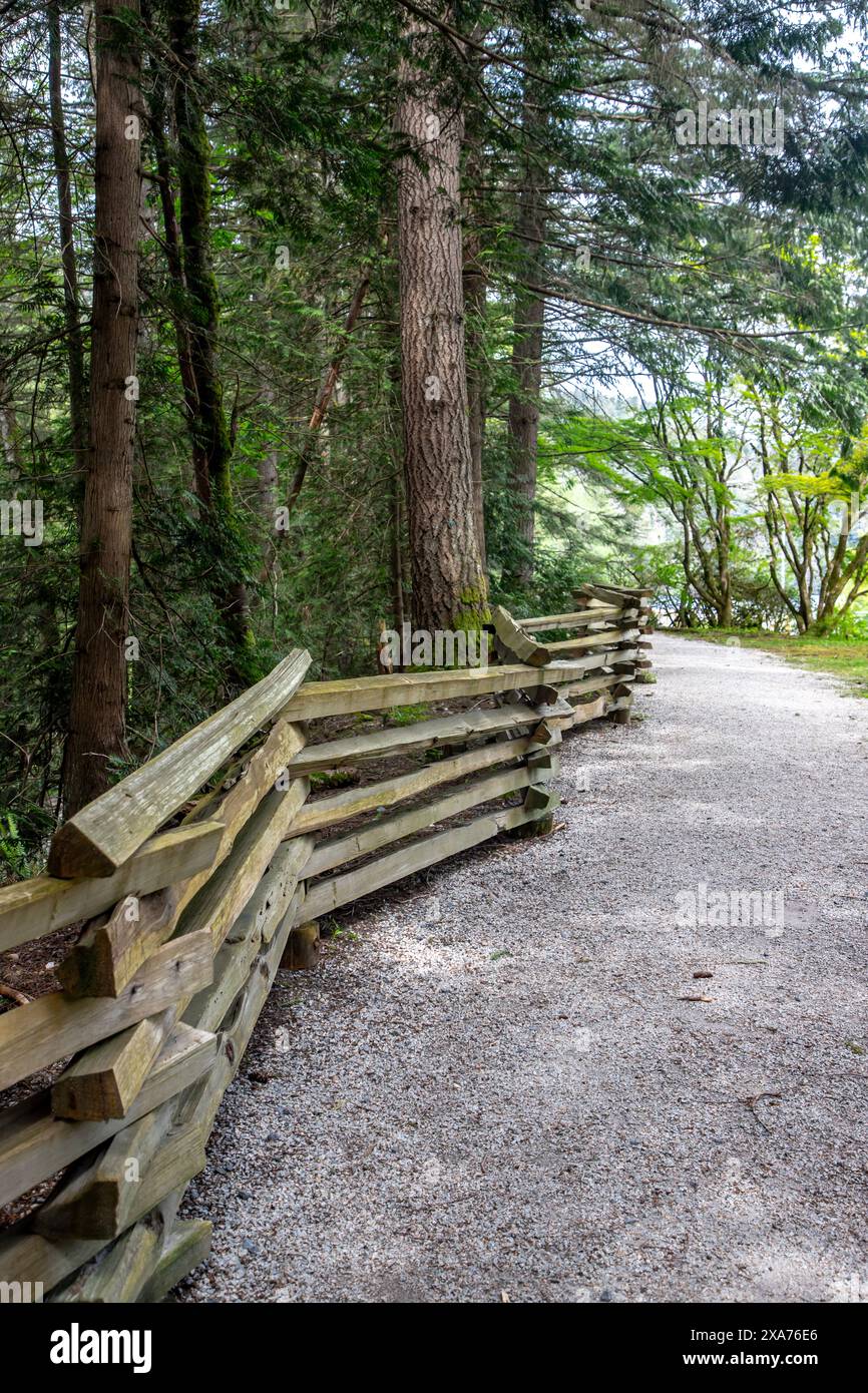 The Capilano River Regional Park in North Vancouver, British Columbia ...