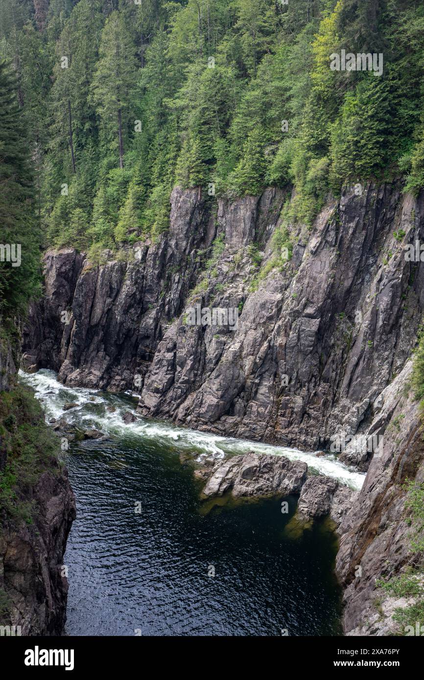 The Capilano River Regional Park in North Vancouver, British Columbia ...