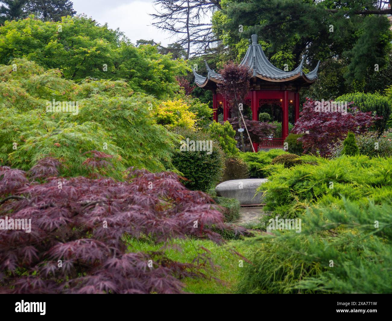 Japanese style gazebo. Japanese garden. Bushes of bright color. Botany ...