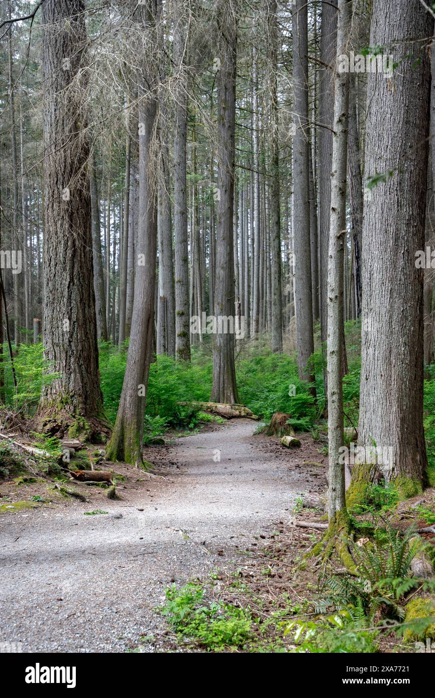 The Capilano River Regional Park in North Vancouver, British Columbia ...