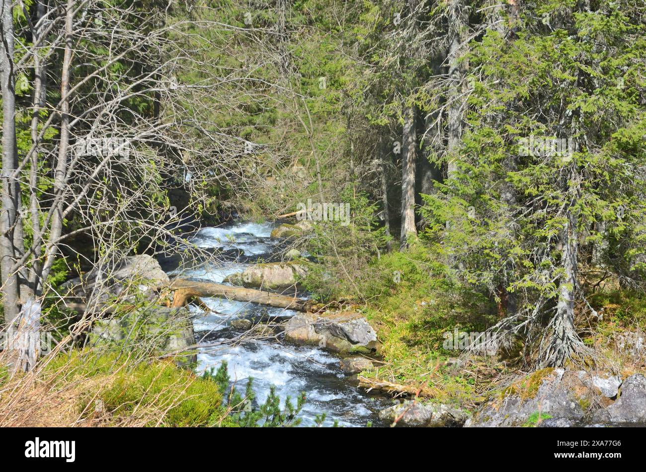 Bank of rocks hi-res stock photography and images - Alamy
