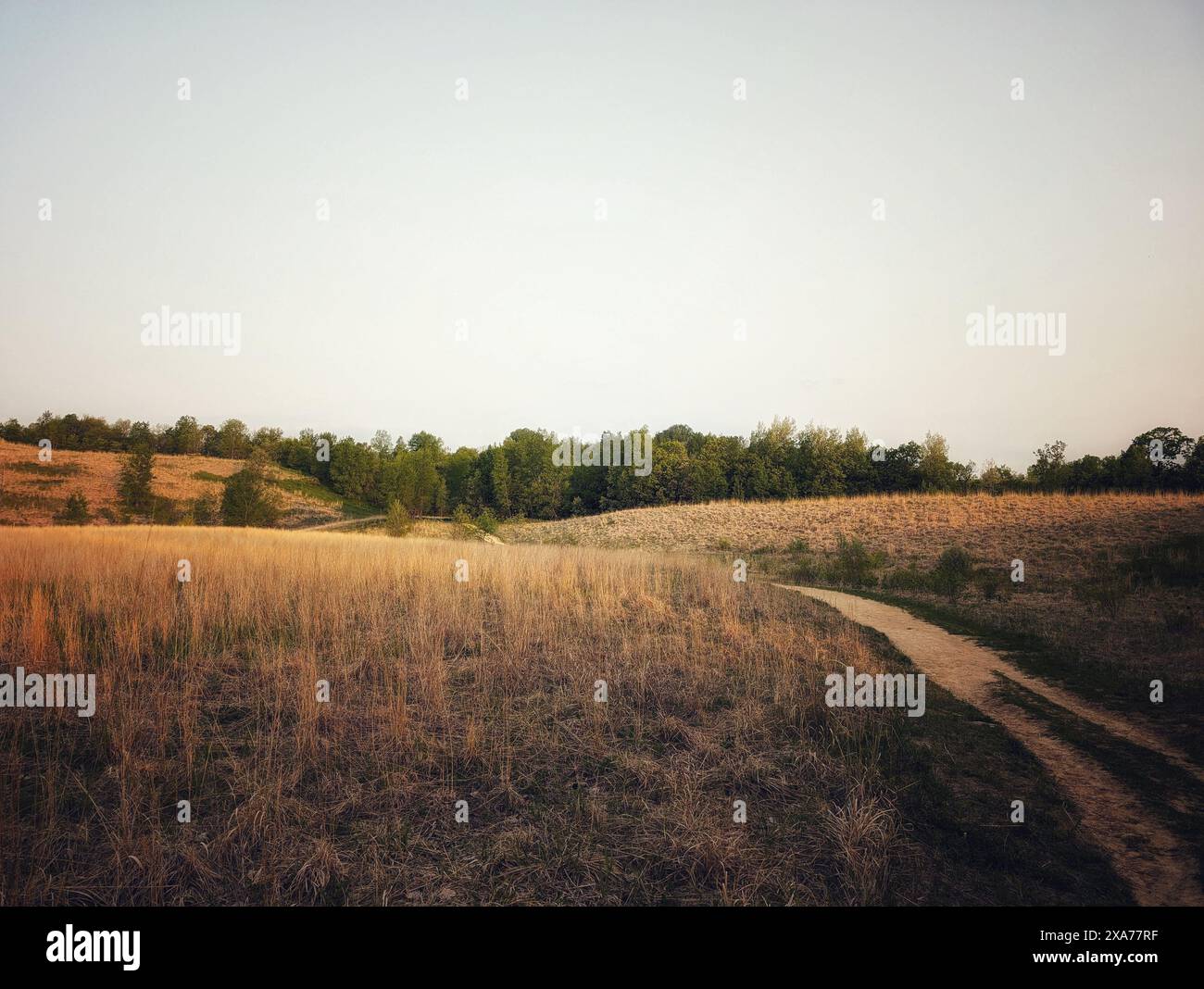A rural dirt road surrounded by vast open field with yellowing grass ...