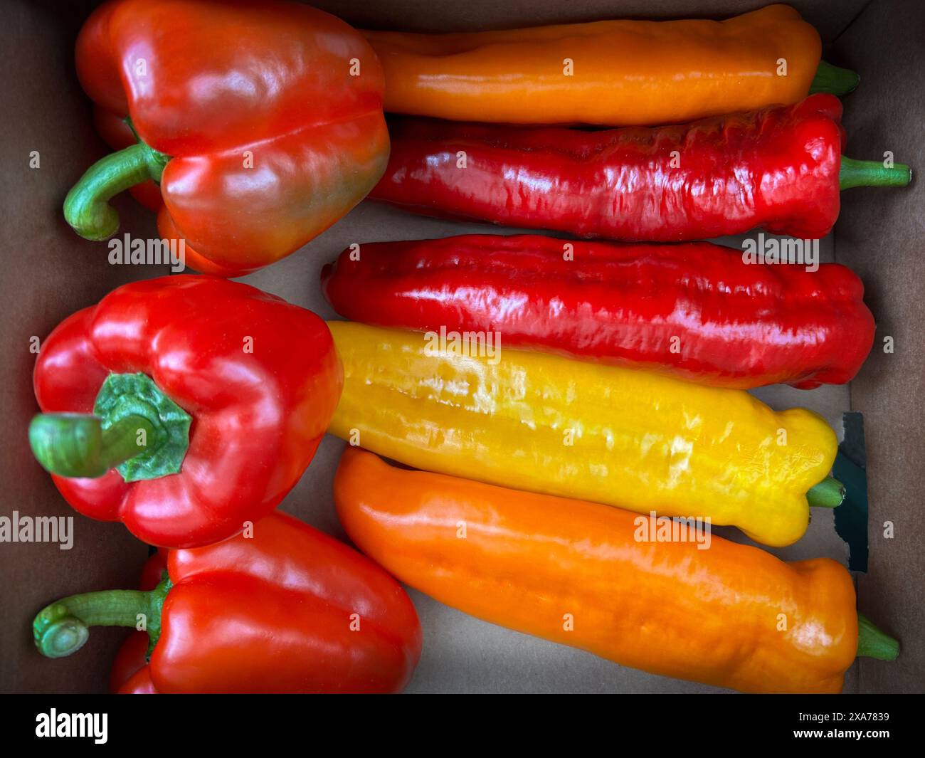 Long peppers hi-res stock photography and images - Alamy