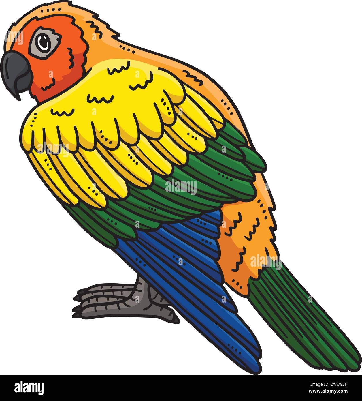 Conure Bird Cartoon Colored Clipart Illustration Stock Vector Image ...