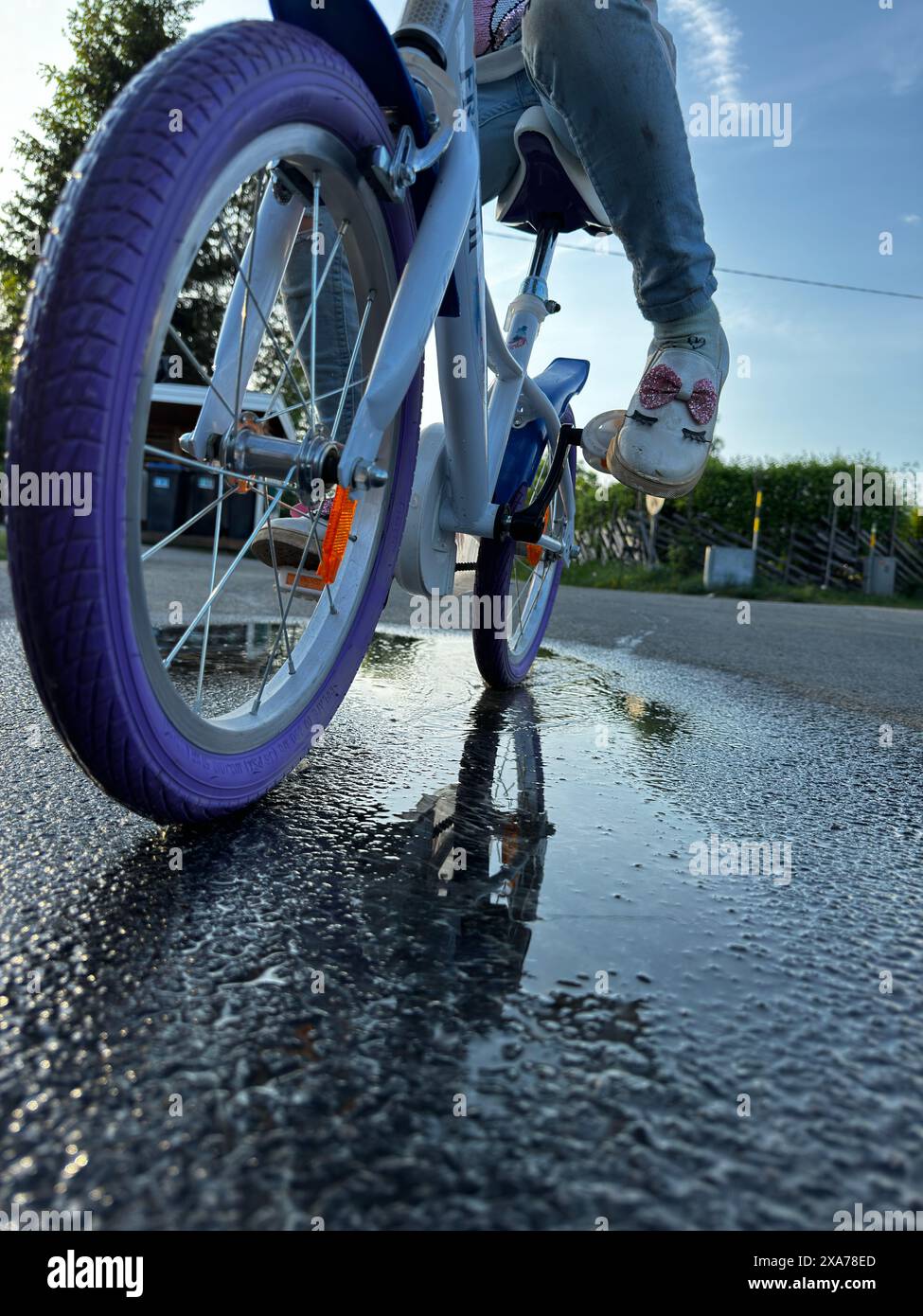 A child rides a bicycle on a wet road, splashing through puddles during ...