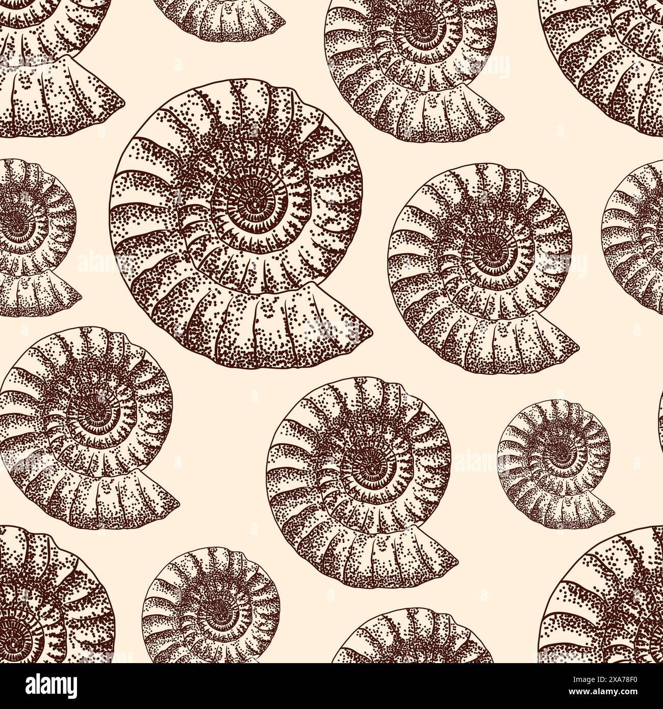 Ammonite ammonites fossil fossils Stock Vector Images - Alamy