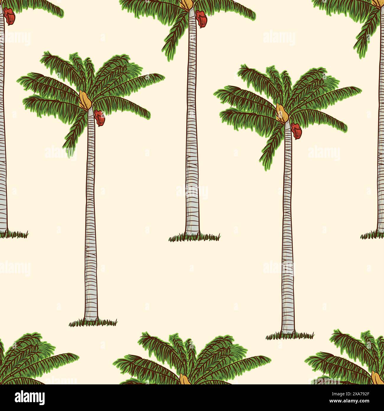 National colombian tree palm knowed as palma de cera in spanish or wax ...