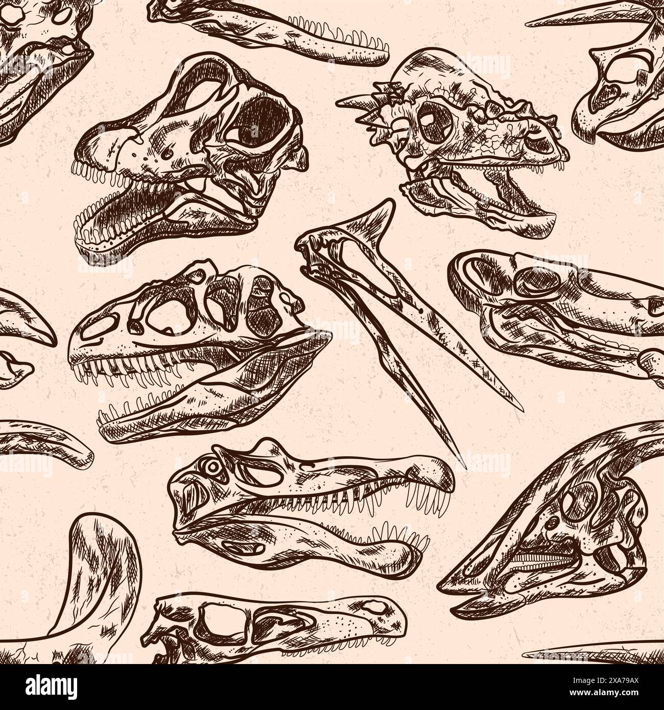 Dinosaurs fossils skull heads sketch seamless pattern Stock Vector Image & Art - Alamy