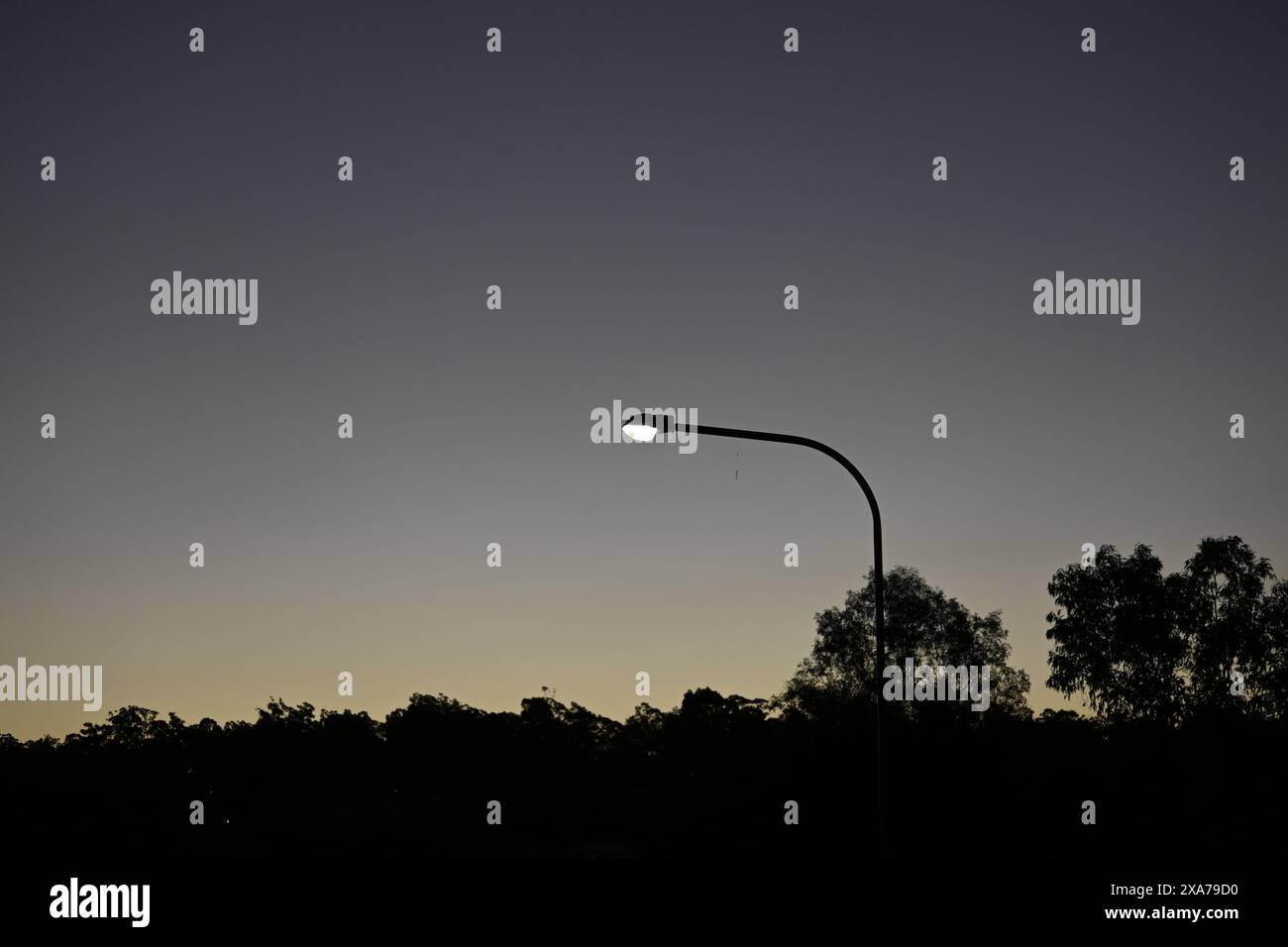 A street lamp stands beside a road, surrounded by trees Stock Photo - Alamy