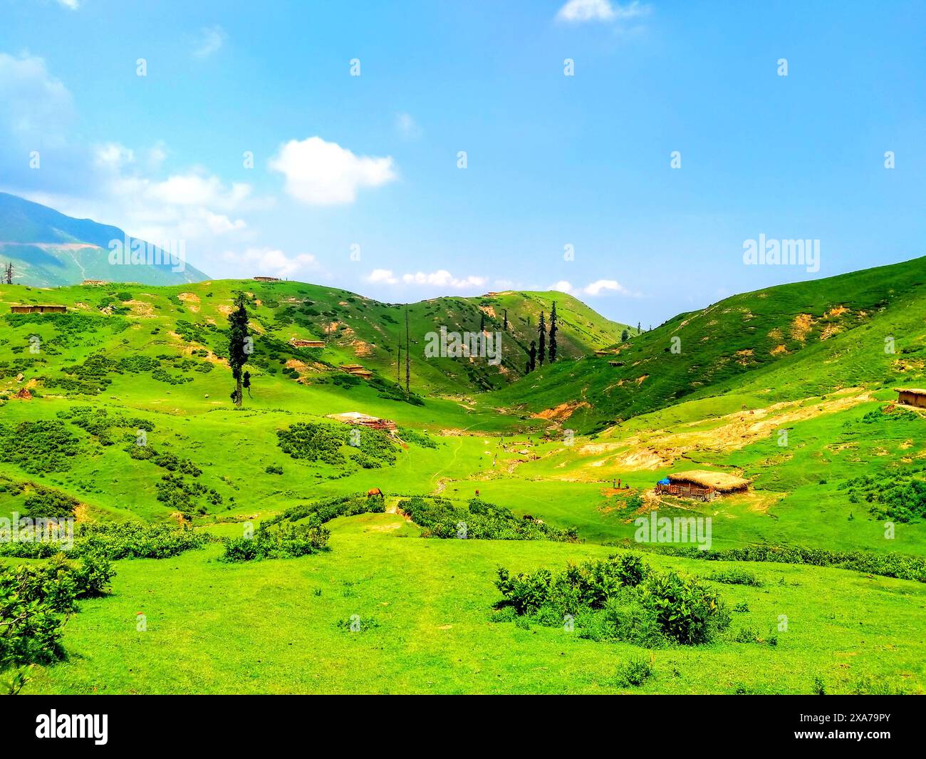 Top view forest hilltop hi-res stock photography and images - Alamy