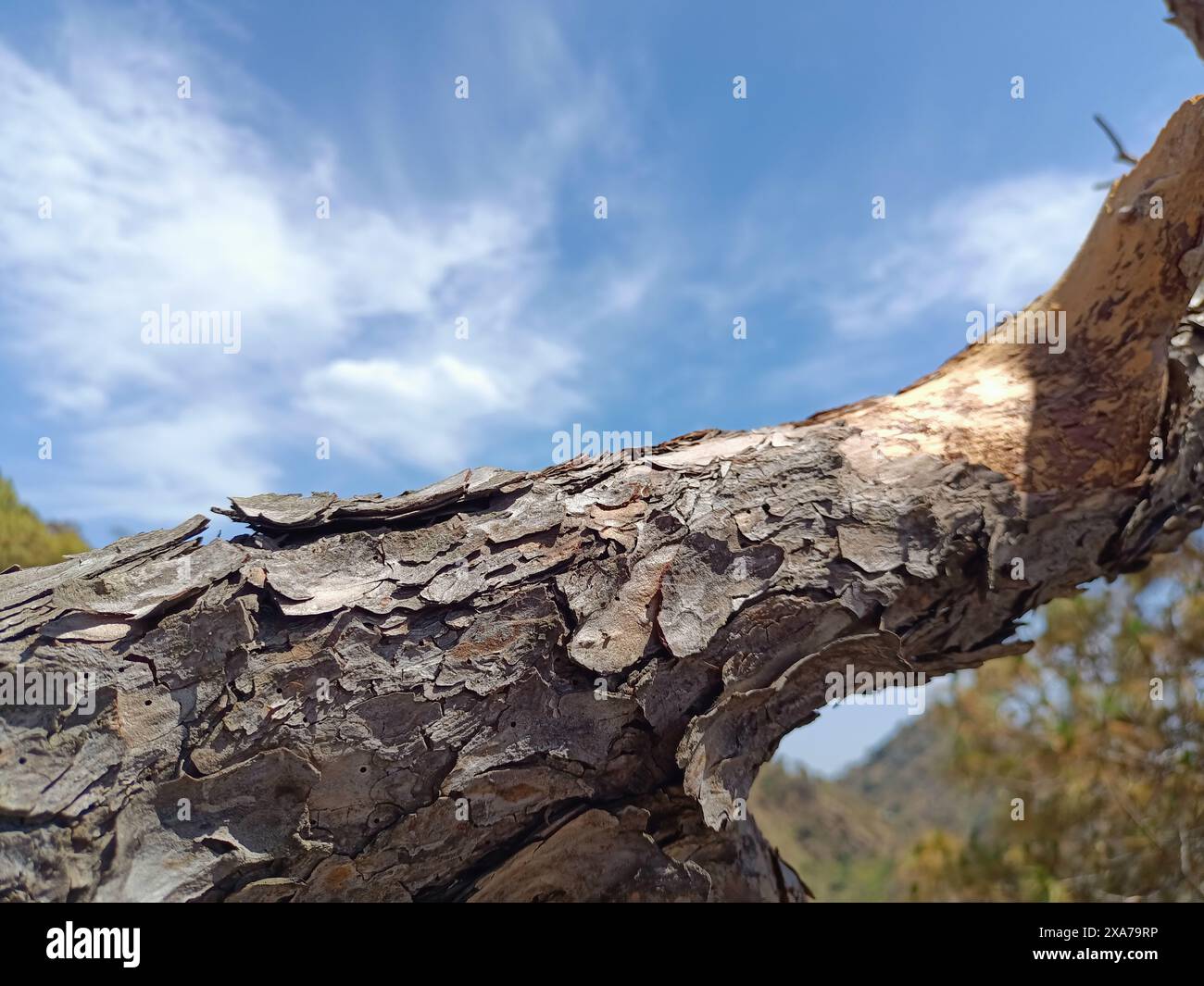 Fallen shape hi-res stock photography and images - Alamy