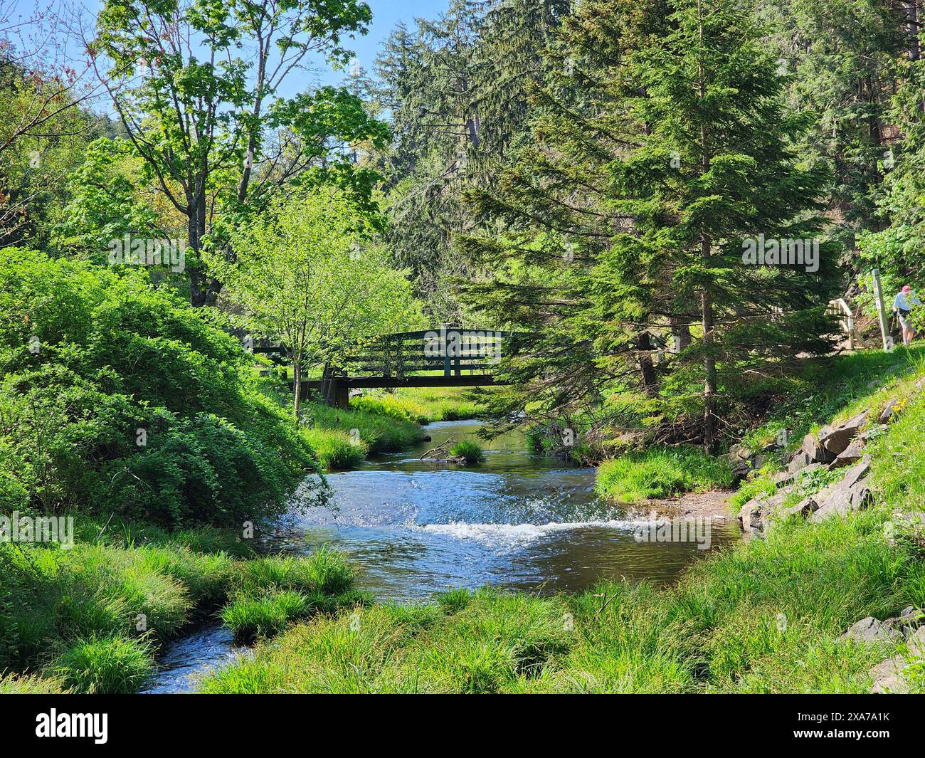 Wooden bridge over a small river hi-res stock photography and images ...