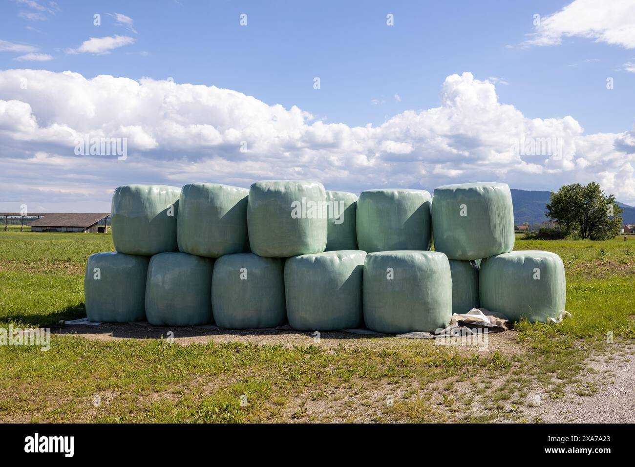 Bales of grass hi-res stock photography and images - Alamy
