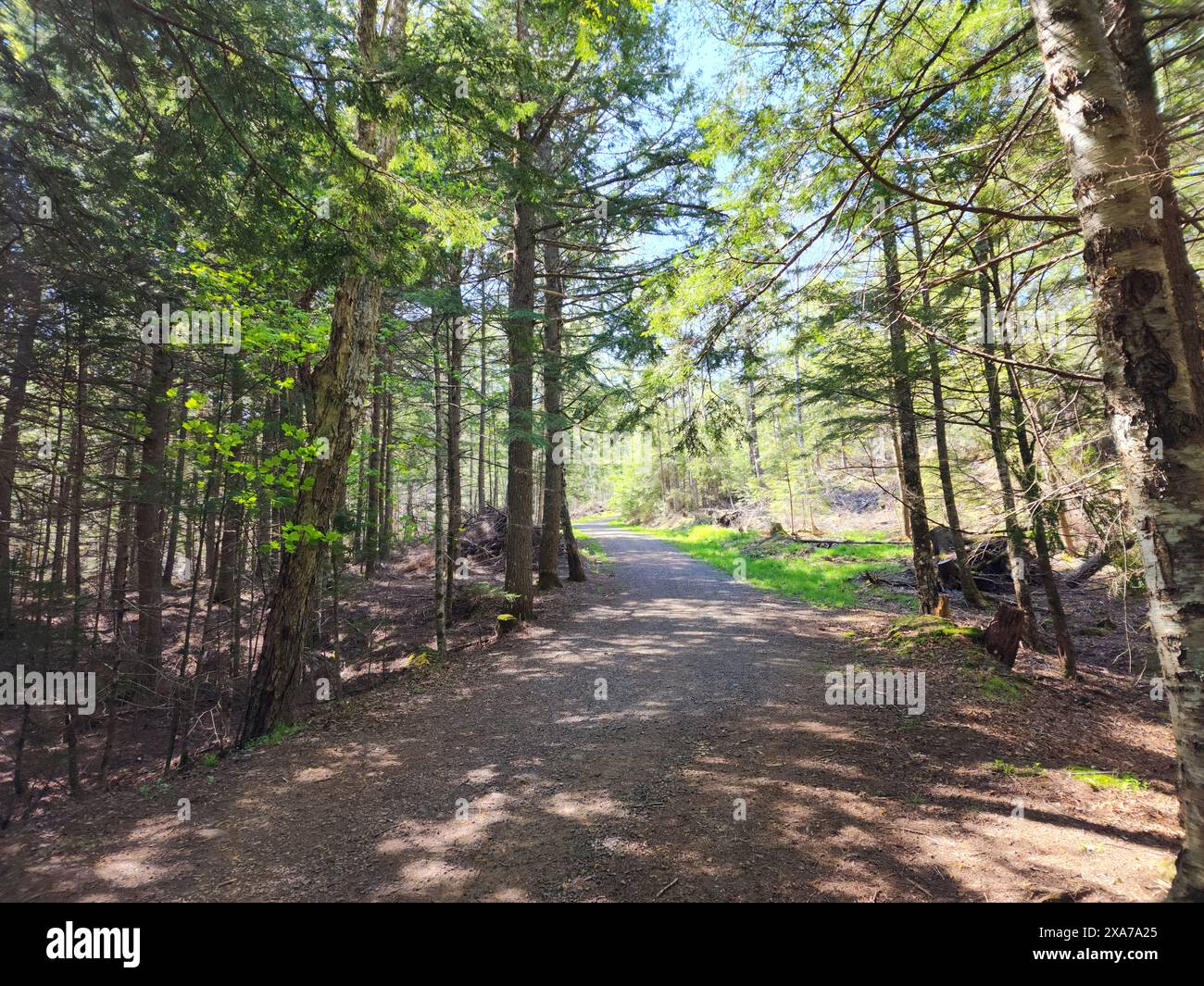 Exploration nature pathway hi-res stock photography and images - Alamy