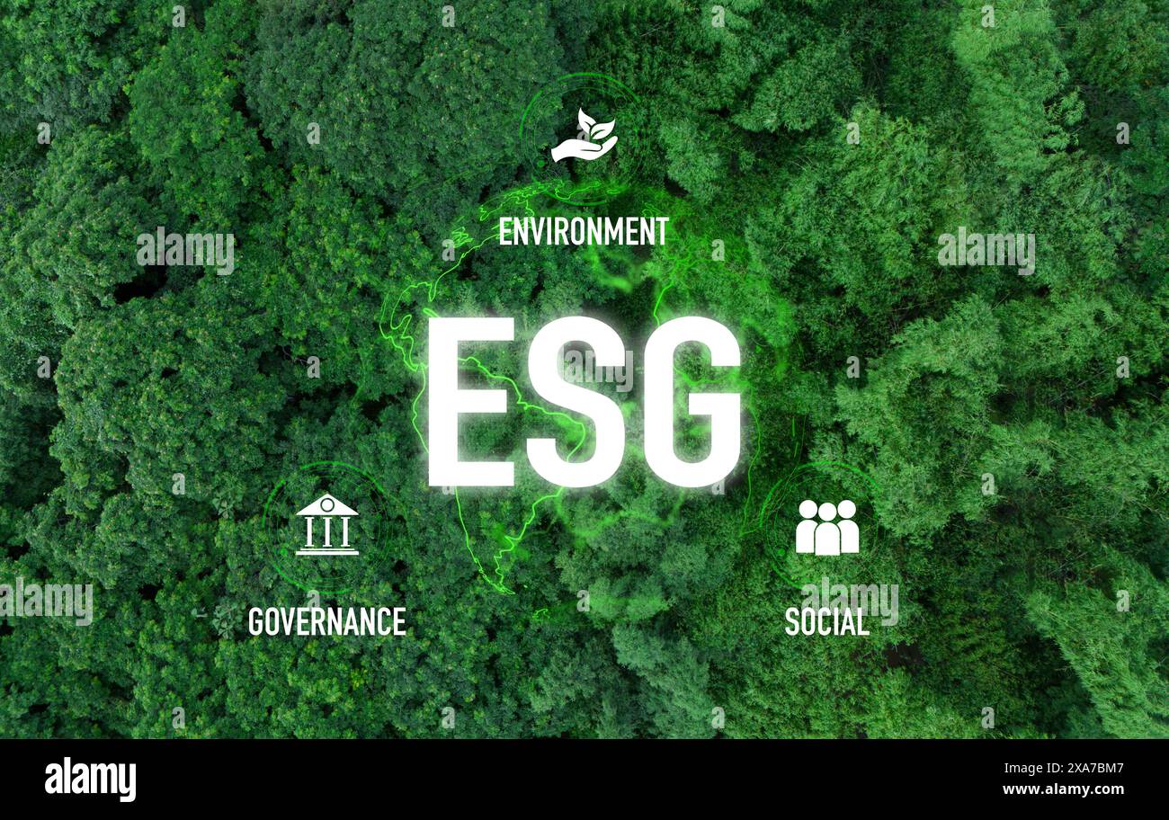 ESG sustainable concept. environmental, social, and governance in ...