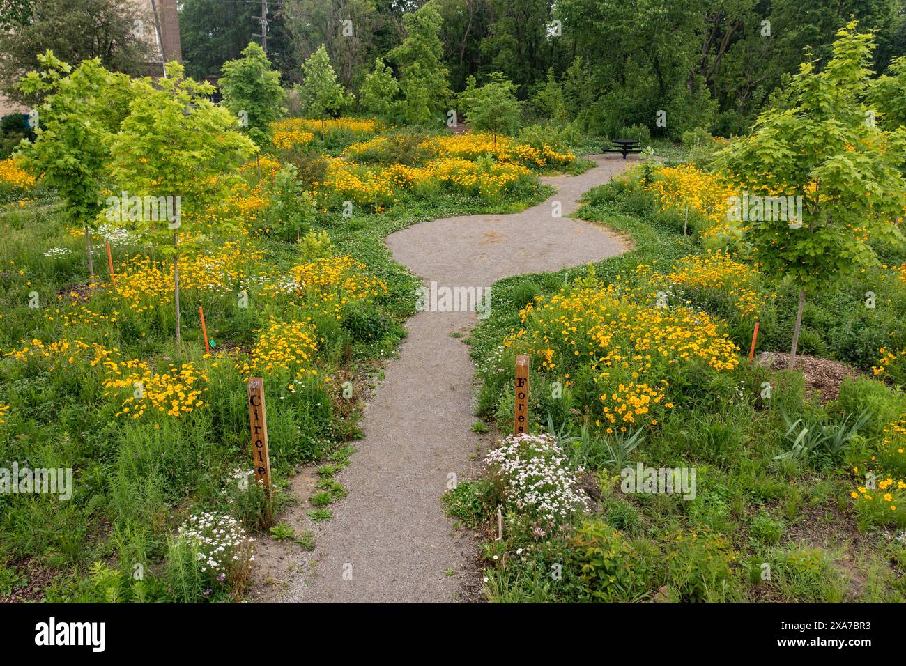 Detroit, Michigan - Residents formed a nonprofit organization called ...