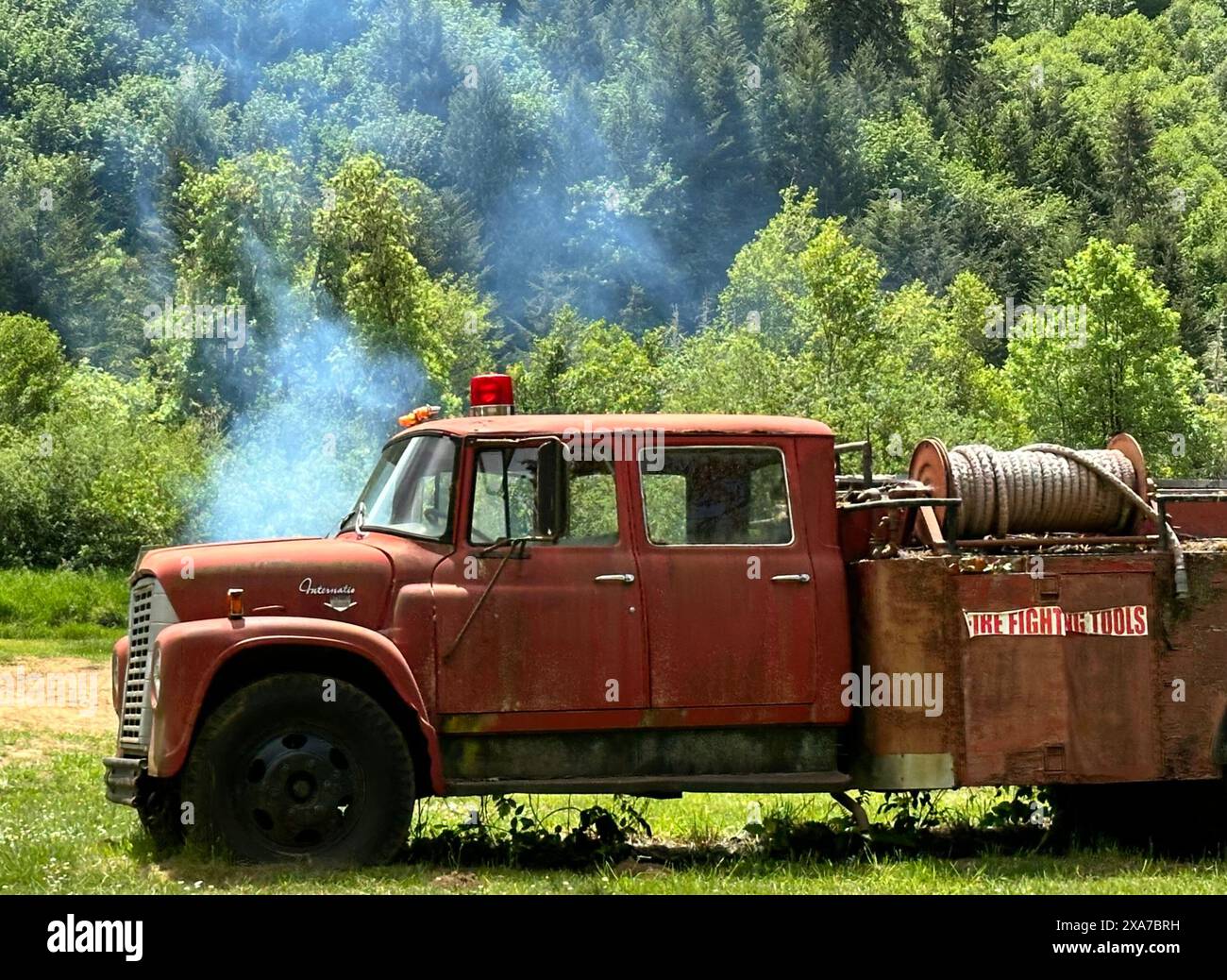 Firefighter ladder tree hi-res stock photography and images - Alamy
