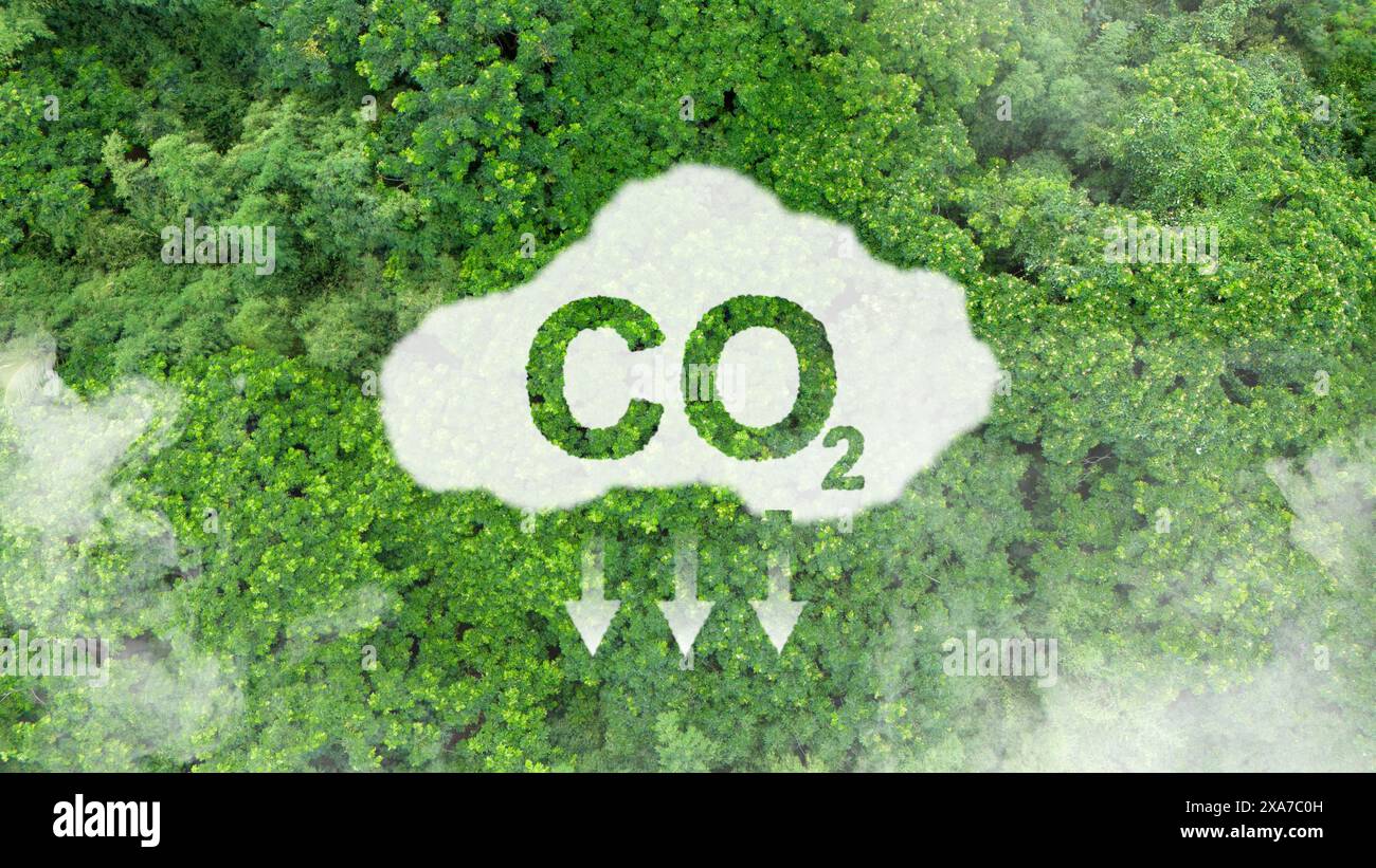 Reduce greenhouse gas emission concept. Carbon footprint climate change and sustainable. CO2 ...