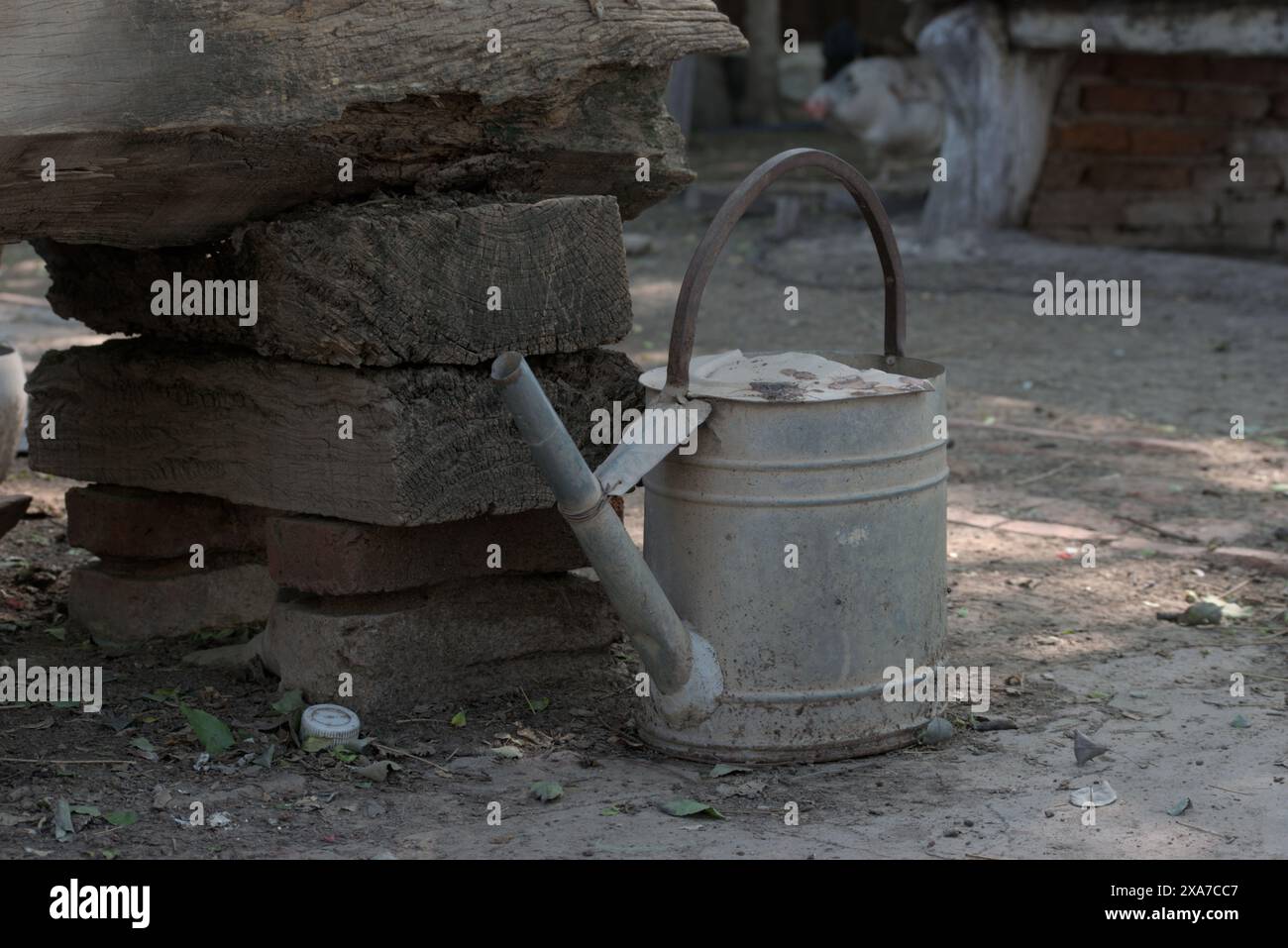 A grey watering can rests on a stack of logs Stock Photo - Alamy