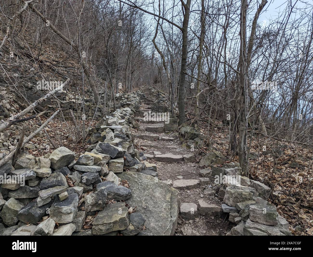 Serene forest landscape winding hi-res stock photography and images - Alamy