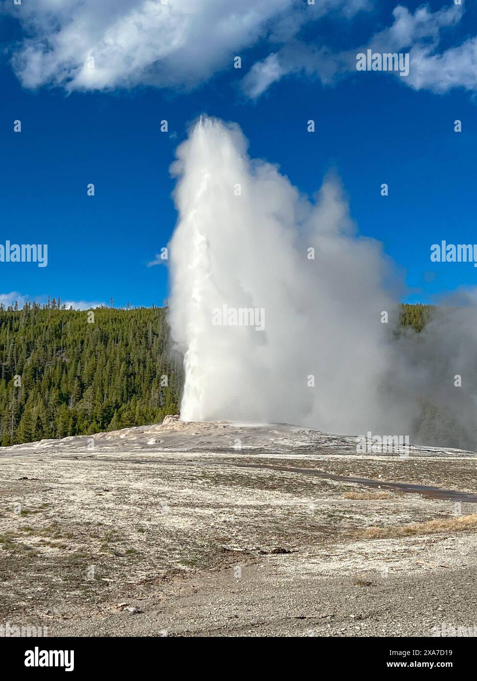 A geyser in a dry riverbed under a clear blue sky Stock Photo - Alamy