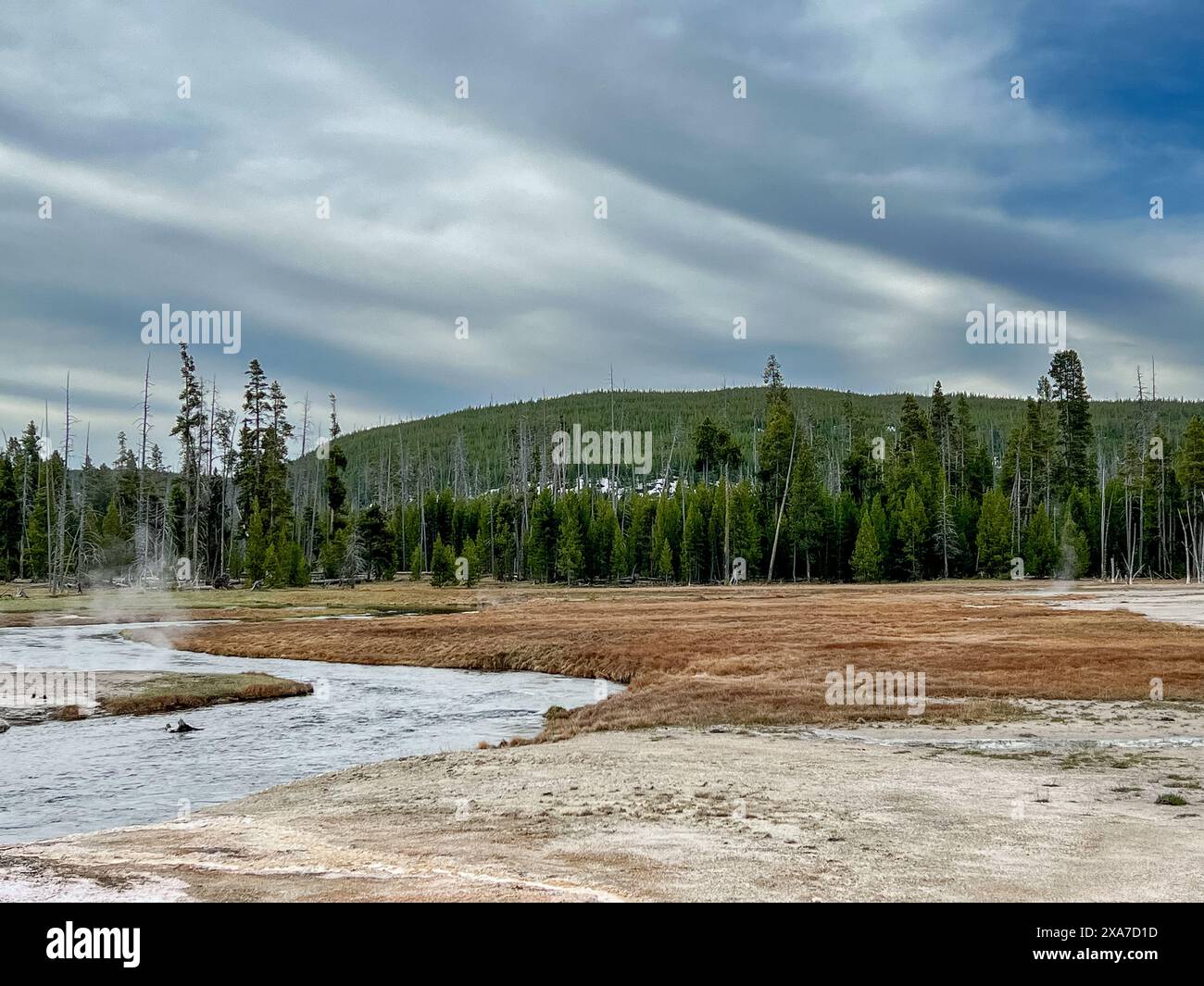 A diverse hot springs and water sources in a forest setting Stock Photo ...