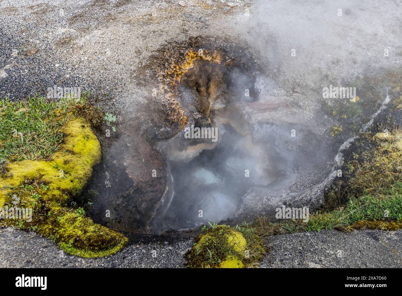 A miniature geyser carving into the earth Stock Photo - Alamy