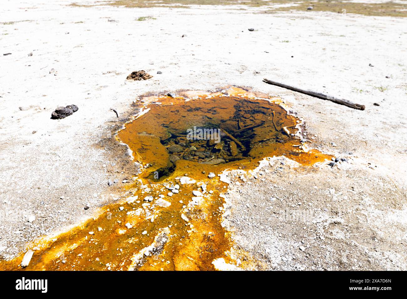 An orange substance on dirt ground Stock Photo - Alamy