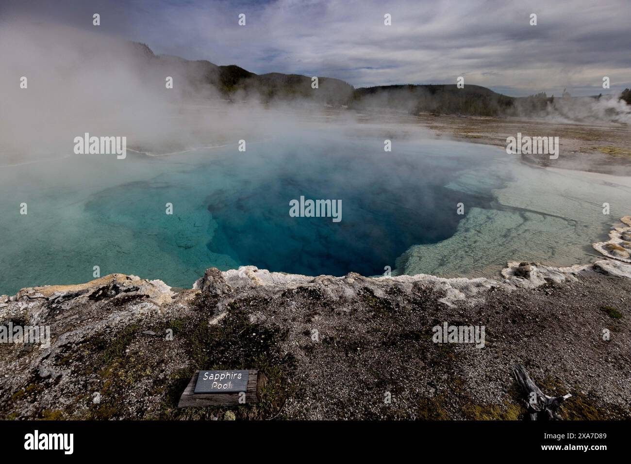 Pool water grassy field hi-res stock photography and images - Alamy