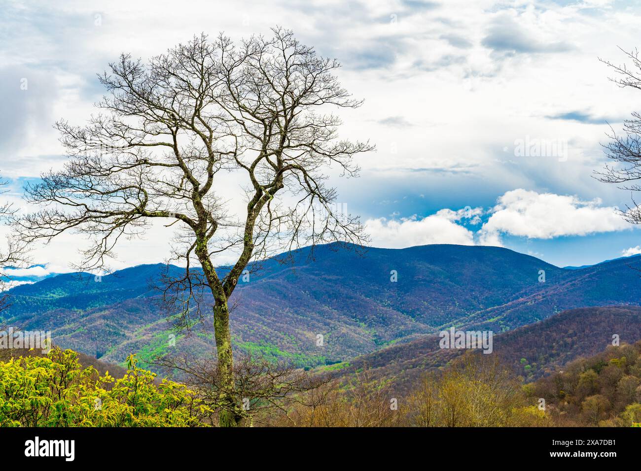 Serene mountainscape hi-res stock photography and images - Alamy