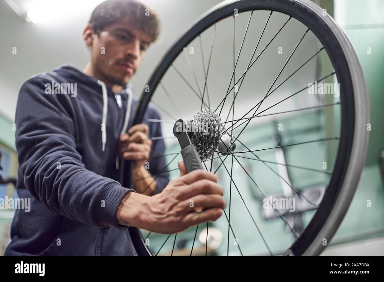 Maintenance of a bicycle: hispanic repairman assembling the sprocket ...