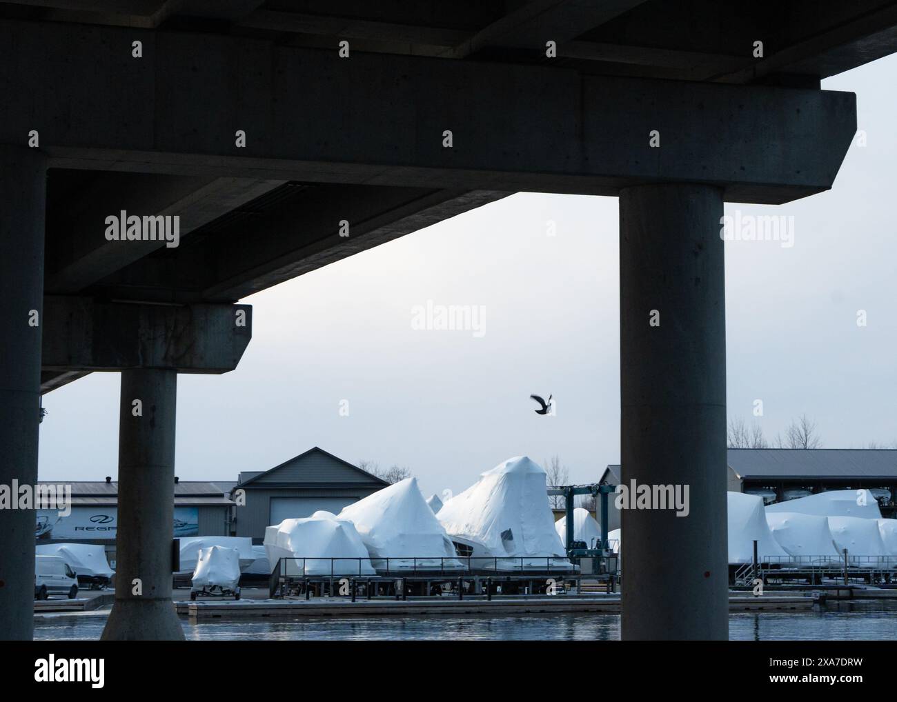 Pigeon under bridge hi-res stock photography and images - Alamy