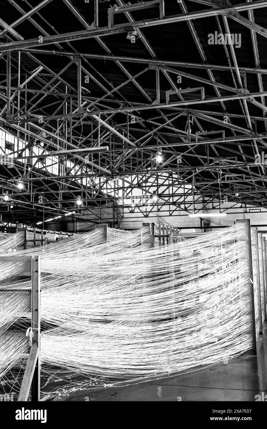 The cotton thread lines for a cop-winder weft assembly line loom in ...