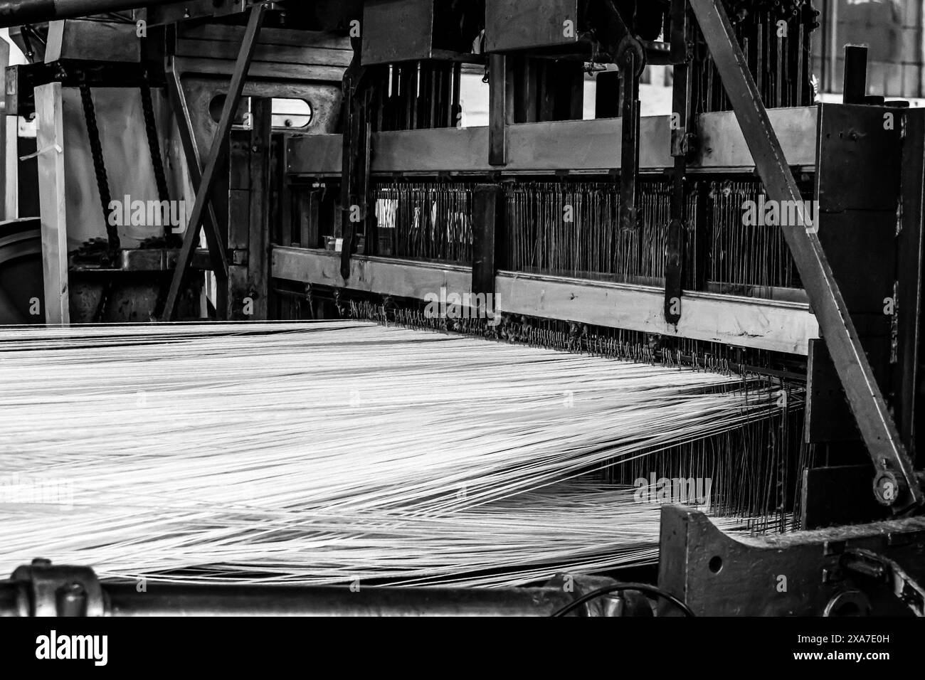 The cotton thread lines on a copwinder weft assembly line loom in ...