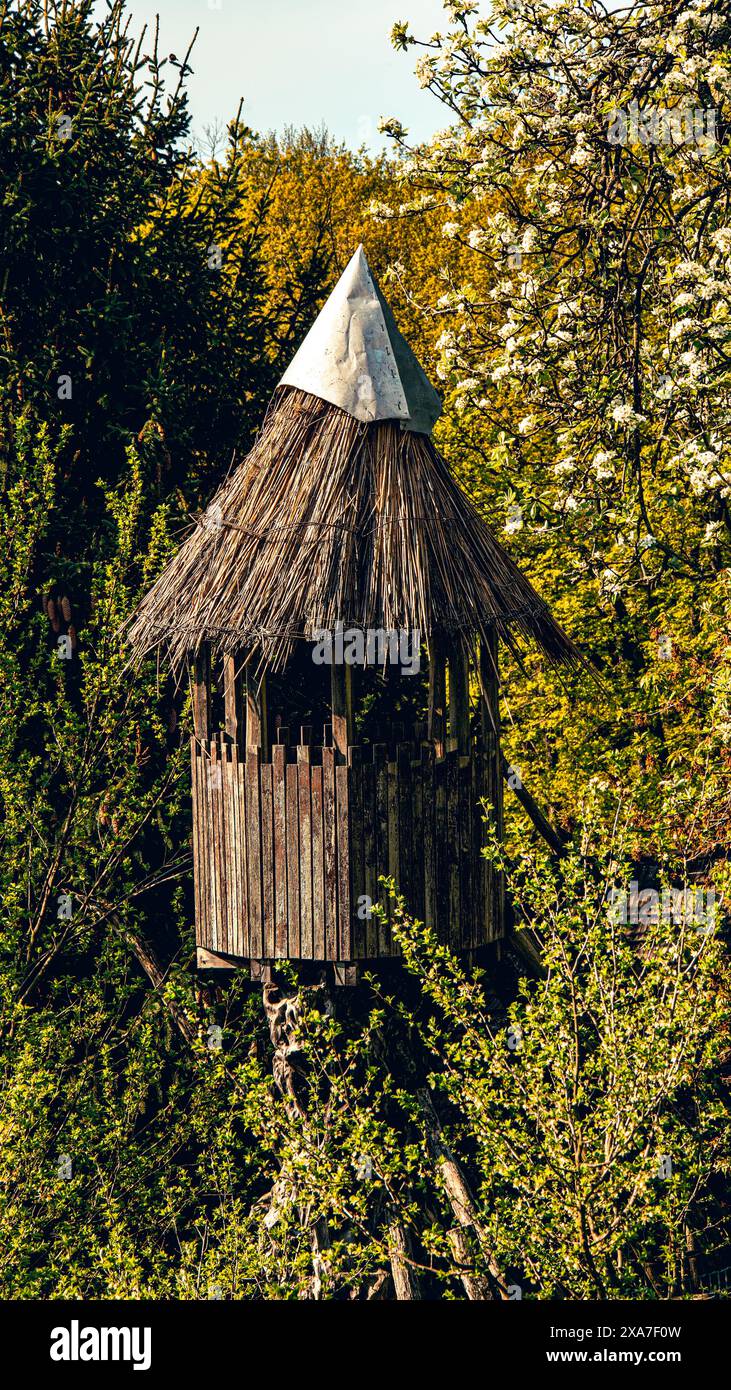 Cabin surrounded lush greenery hi-res stock photography and images - Alamy