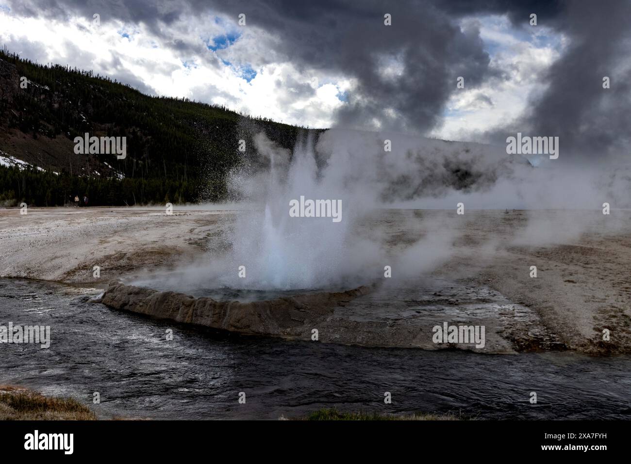 geyser erupting water in a field Stock Photo - Alamy