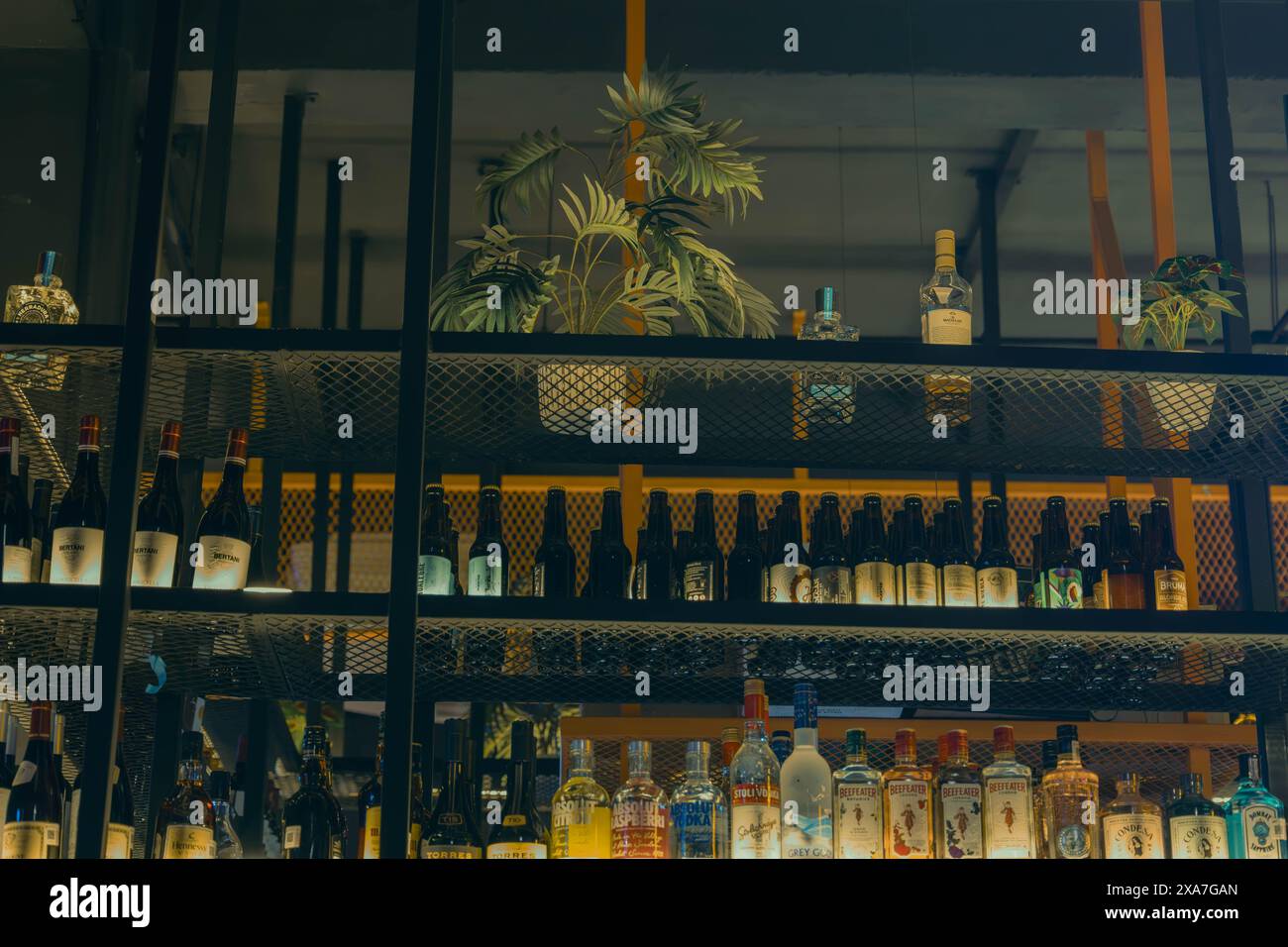 Bar counter alcohol bottles drinks display hi-res stock photography and ...