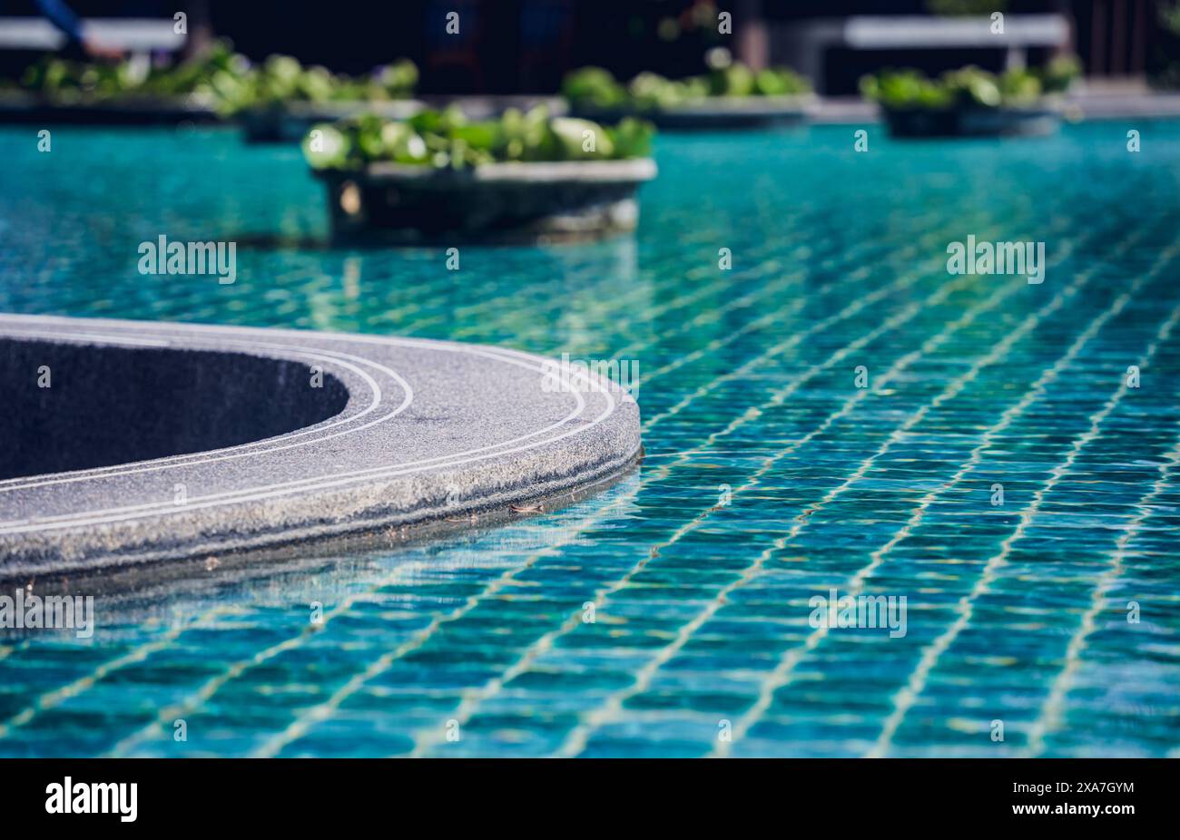 A beautiful scene with a big pool and tropical trees Stock Photo - Alamy