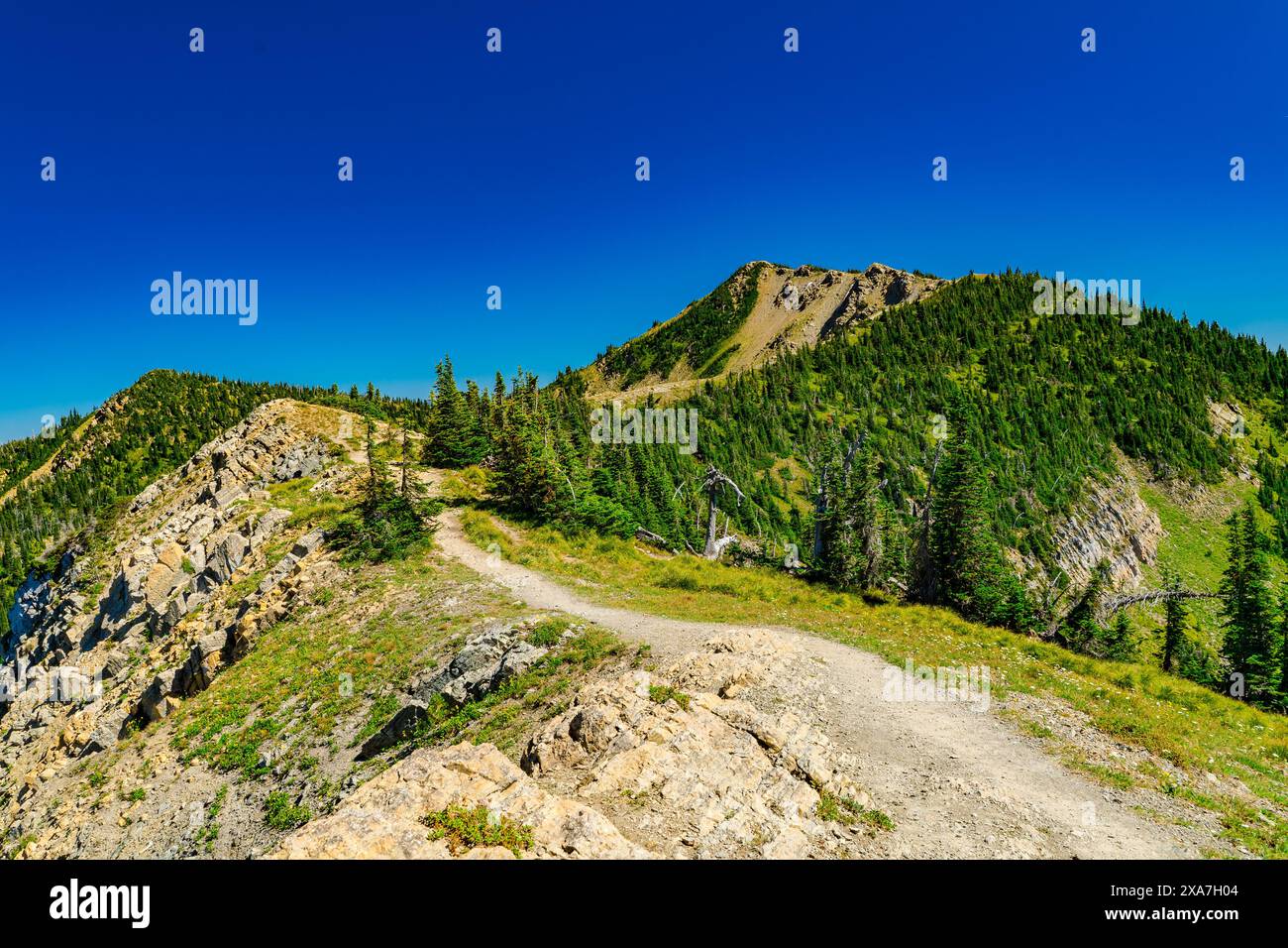 Scenic dirt trail winding hi-res stock photography and images - Alamy