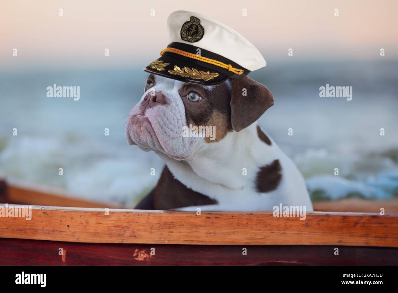 Captains hat hi-res stock photography and images - Alamy