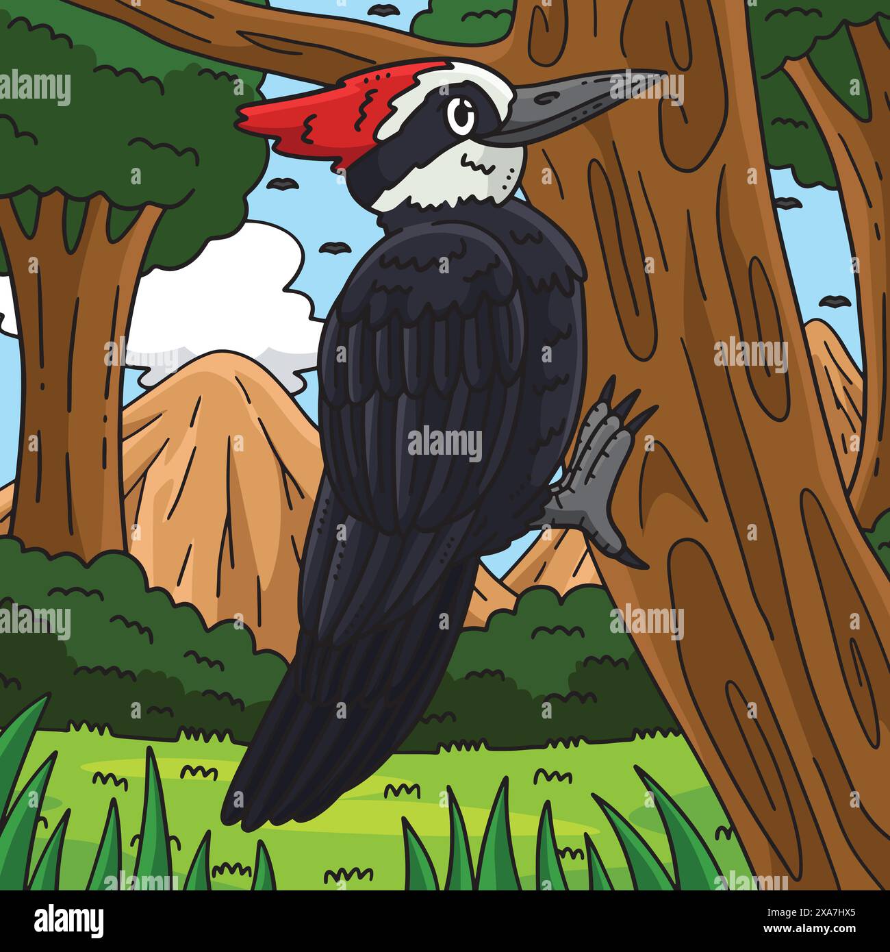 Woodpecker Bird Colored Cartoon Illustration Stock Vector Image & Art ...