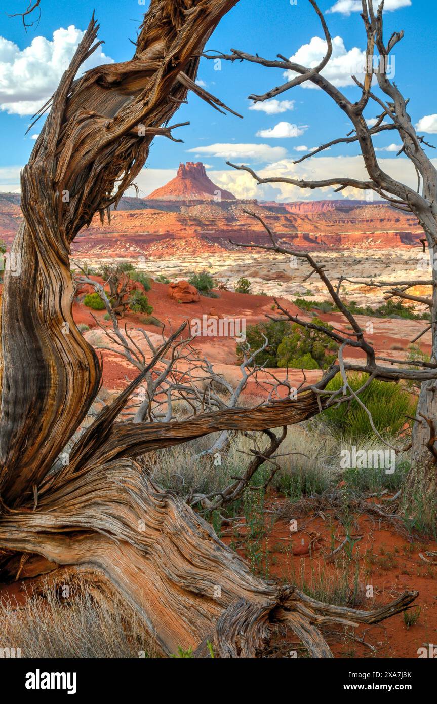 Vast valley hi-res stock photography and images - Alamy