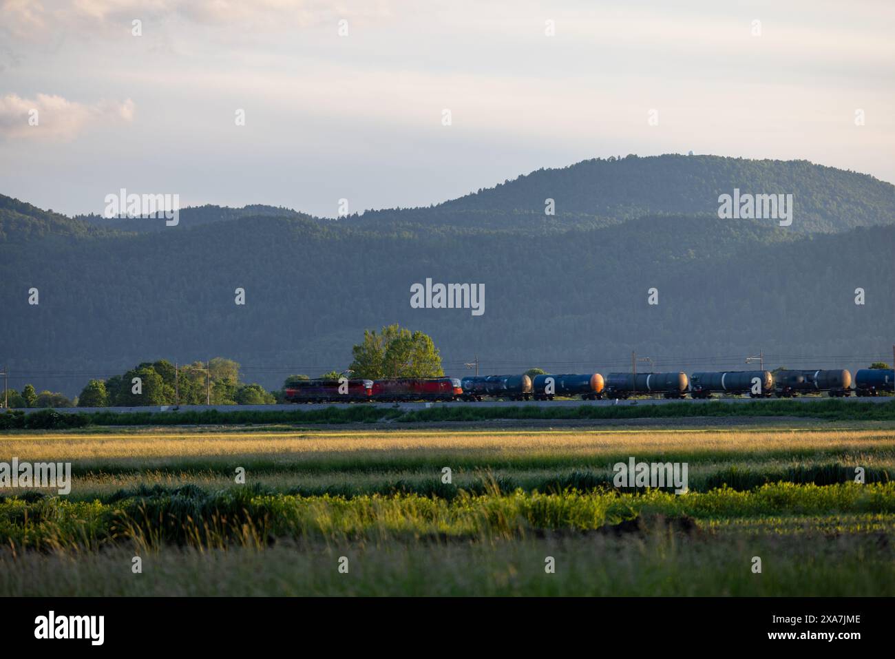 train on railroad tracks in a scenic mountain meadow Stock Photo - Alamy