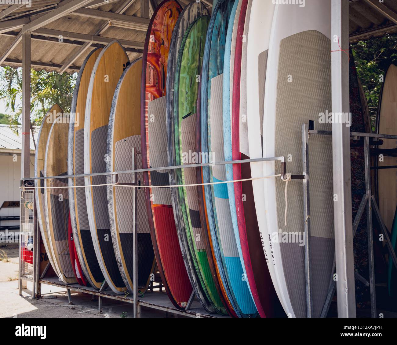 Rack of surfboards for sale hi-res stock photography and images - Alamy