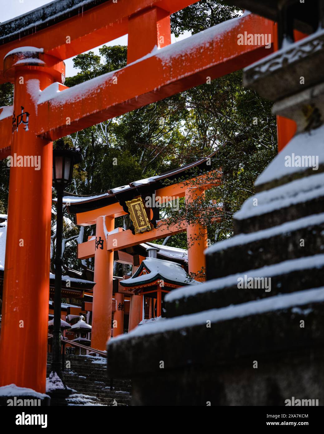 An Ancient traditional Japanese gateway and temples covered in rare ...