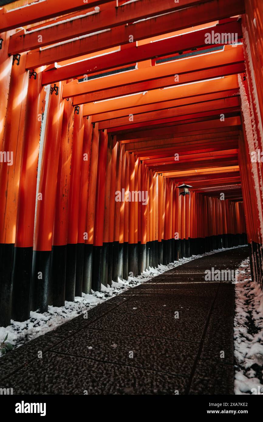 A Rare Winter snow at Torii Gate Tunnel at Fushimi Inari Shrine in ...