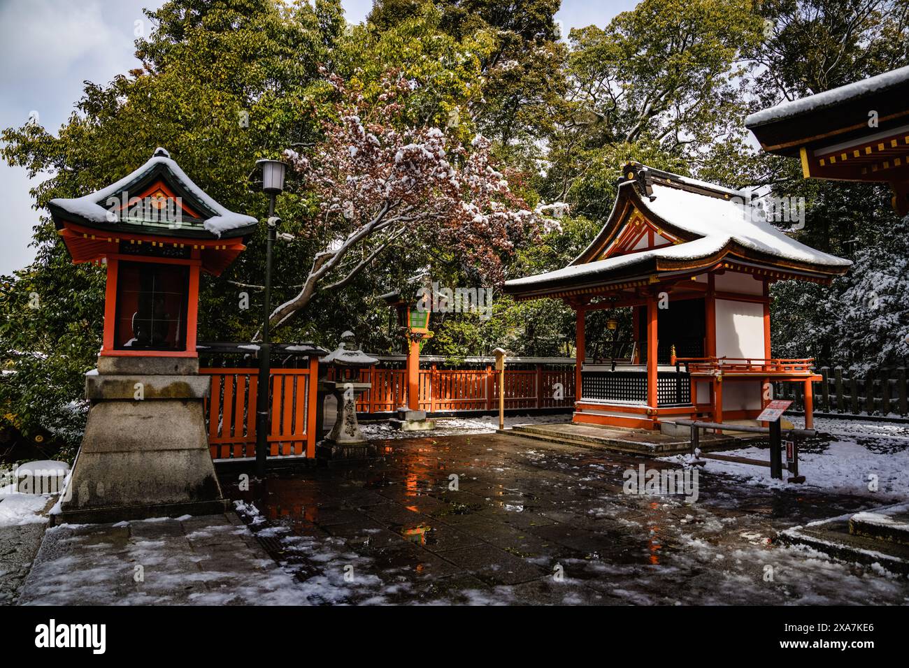 An Ancient traditional Japanese gateway and temples covered in rare ...